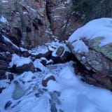 Barnhardt Trail Waterfall, Arizona - 790 Reviews, Map | AllTrails