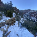 Barnhardt Trail Waterfall, Arizona - 790 Reviews, Map | AllTrails