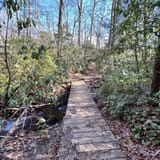 Daniel Ridge Loop, North Carolina - 1,793 Reviews, Map | AllTrails
