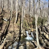 Daniel Ridge Loop, North Carolina - 1,793 Reviews, Map | AllTrails