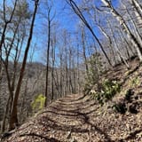 Daniel Ridge Loop, North Carolina - 1,793 Reviews, Map | AllTrails