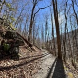 Daniel Ridge Loop, North Carolina - 1,793 Reviews, Map | AllTrails
