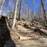 Daniel Ridge Loop, North Carolina - 1,793 Reviews, Map | AllTrails