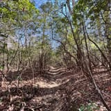Daniel Ridge Loop, North Carolina - 1,793 Reviews, Map | AllTrails