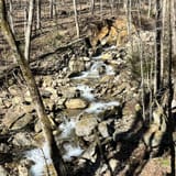 Daniel Ridge Loop, North Carolina - 1,793 Reviews, Map | AllTrails