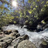 Daniel Ridge Loop, North Carolina - 1,793 Reviews, Map | AllTrails