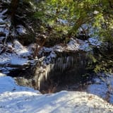 Fall Run Trail, Pennsylvania - 841 Reviews, Map | AllTrails