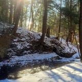 Fall Run Trail, Pennsylvania - 841 Reviews, Map | AllTrails