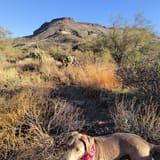 Cottonwood to Skull Mesa Trail, Arizona - 686 Reviews, Map | AllTrails