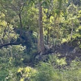 Bouldercombe Gorge Falls , Queensland, Australia - 48 Reviews, Map ...