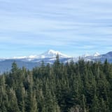 Chuckanut Ridge Trail, Washington - 403 Reviews, Map | AllTrails