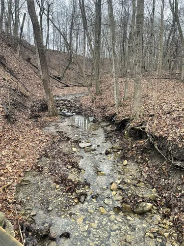 Best Hikes and Trails in Myeerah Nature Preserve | AllTrails