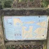 Foster Island Trail, Washington - 589 Reviews, Map | AllTrails