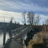 Foster Island Trail, Washington - 719 Reviews, Map | AllTrails