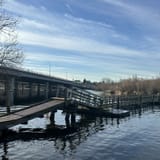 Foster Island Trail, Washington - 719 Reviews, Map | AllTrails