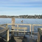 Foster Island Trail, Washington - 719 Reviews, Map | AllTrails