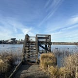 Foster Island Trail, Washington - 595 Reviews, Map | AllTrails