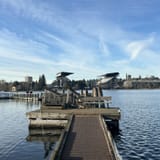 Foster Island Trail, Washington - 719 Reviews, Map | AllTrails