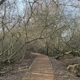 Foster Island Trail, Washington - 719 Reviews, Map | AllTrails