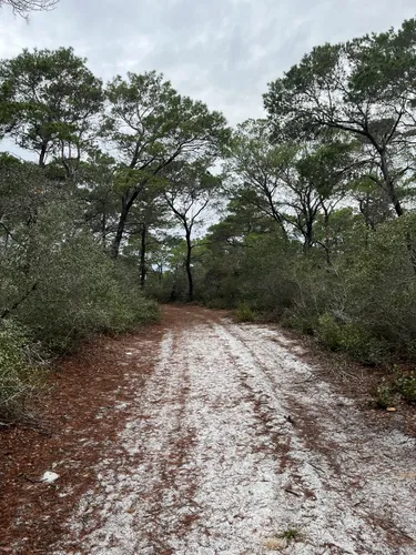 Best Hikes and Trails in Jupiter Ridge Natural Area | AllTrails