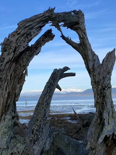 Best Hikes and Trails in English Boom Trail County Park | AllTrails