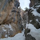 Fletcher Canyon Trail, Nevada - 2,346 Reviews, Map | AllTrails