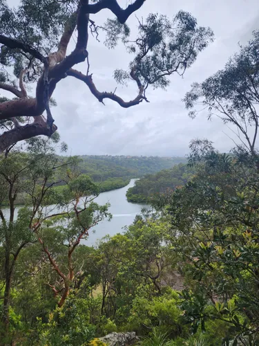 Best 10 Hiking Trails in Georges River National Park | AllTrails