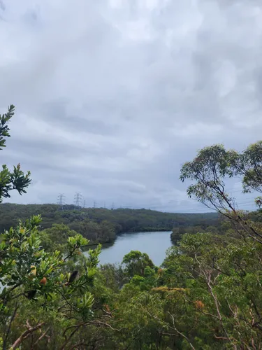 Best Hikes and Trails in Georges River National Park | AllTrails