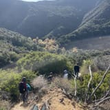 Murphy Ranch Trail, California - 3,555 Reviews, Map | AllTrails