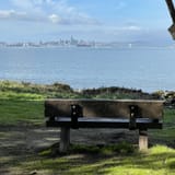 Bay Farm Island Loop Trail, California - 1,183 Reviews, Map | AllTrails