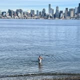 Alki Trail to Hamilton Viewpoint and Seacrest Parks, Washington - 747 ...