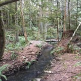 Killarney Lake Loop , British Columbia, Canada - 408 Reviews, Map ...