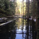 Killarney Lake Loop , British Columbia, Canada - 408 Reviews, Map ...