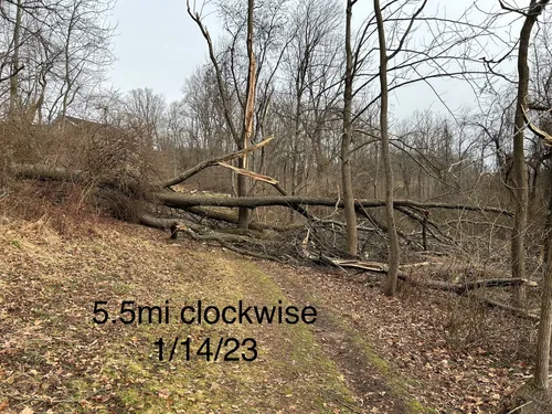 Best Hikes and Trails in Okehocking Preserve | AllTrails