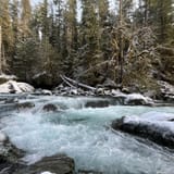 Staircase Rapids Loop, Washington - 2,370 Reviews, Map | AllTrails