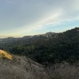 Fryman Canyon Trail, California - 5,951 Reviews, Map | AllTrails