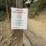 Fryman Canyon Trail, California - 5,951 Reviews, Map | AllTrails
