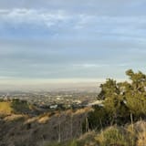 Fryman Canyon Trail, California - 5,951 Reviews, Map | AllTrails