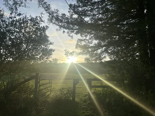 Best Walking Trails in Pogonip Open Space Preserve | AllTrails