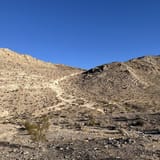Lone Mountain Summit and Loop, Nevada - 2,814 Reviews, Map | AllTrails