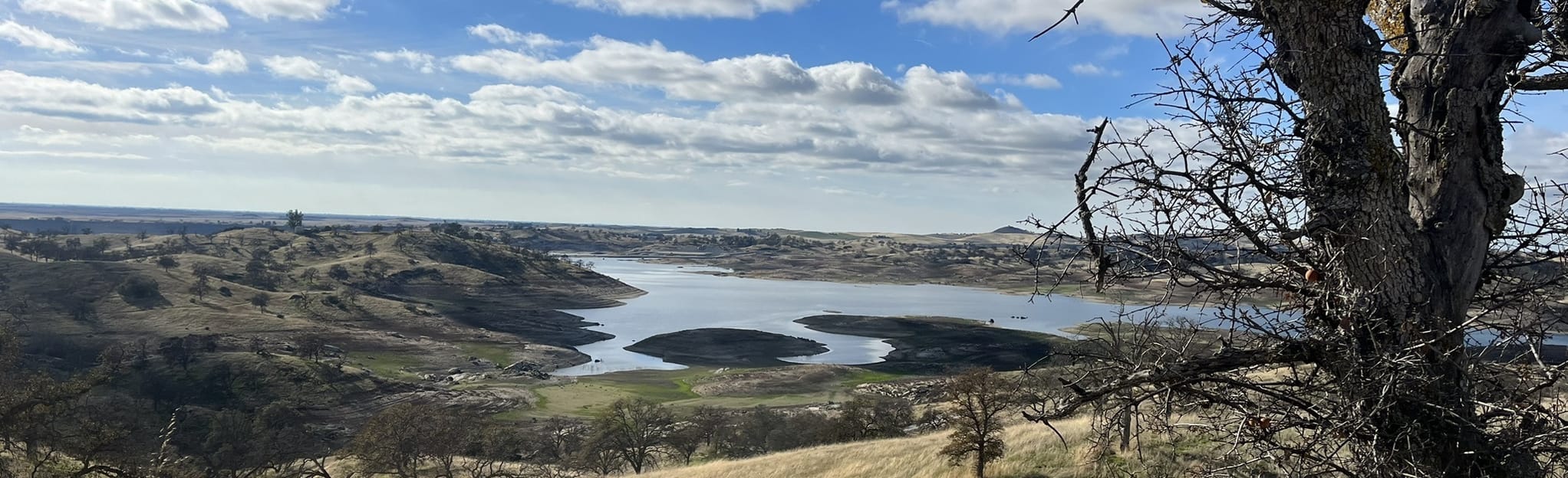 Hensley Lake Day Use Areas Trail, California - 344 Reviews, Map | AllTrails