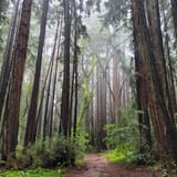 Terrace Trail to Aptos Ranch Trail, California - 603 Reviews, Map ...