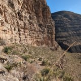 Dog Canyon Trail, New Mexico - 414 Reviews, Map | AllTrails