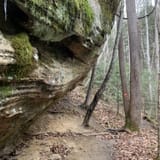 Bad Branch Trail, Kentucky - 192 Reviews, Map | AllTrails