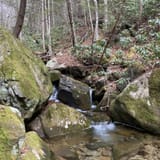 Bad Branch Trail, Kentucky - 192 Reviews, Map | AllTrails
