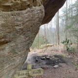 Bad Branch Trail, Kentucky - 192 Reviews, Map | AllTrails