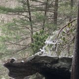 Bad Branch Trail, Kentucky - 192 Reviews, Map | AllTrails