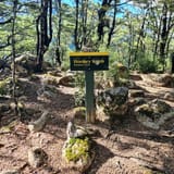 Mount Somers Track Loop, Canterbury, New Zealand - 19 Reviews, Map ...