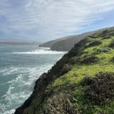 Tomales Point Trail, California - 6,232 Reviews, Map | AllTrails