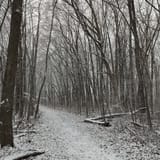 Bloodroot Trail, Indiana - 652 Reviews, Map | AllTrails